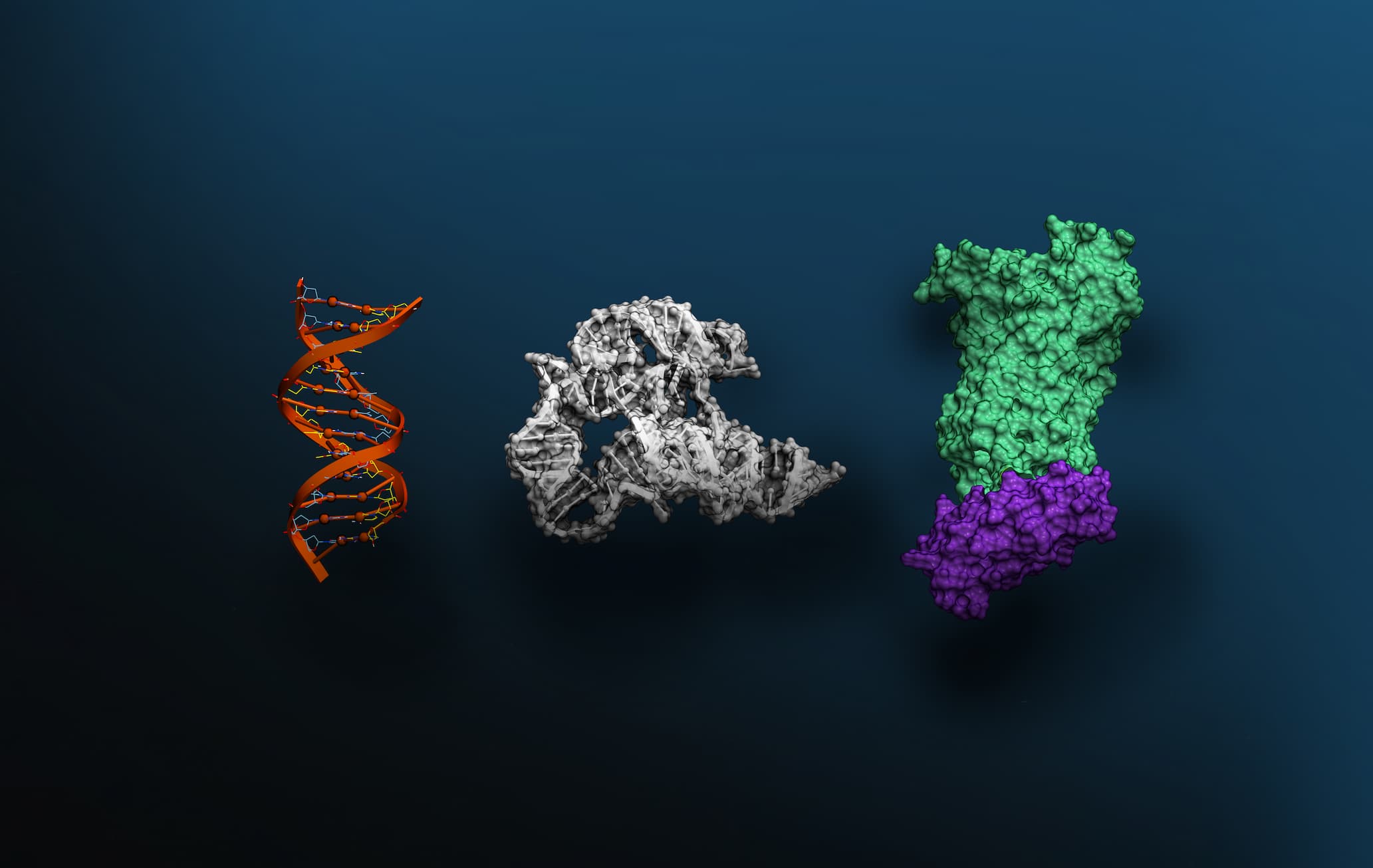 Evo 2 Protein Design Blueprint by NVIDIA | NVIDIA NIM Evo 2 Protein Design Blueprint by NVIDIA | NVIDIA NIM
