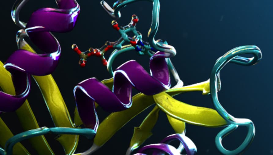 Build A Generative Virtual Screening Pipeline Blueprint by NVIDIA ...